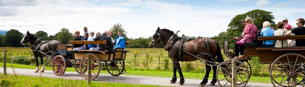 Chauffeur Tours Ireland | Hammond Tours